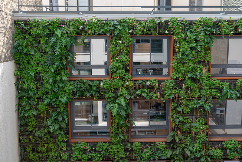 The AUP Community’s Commitment to Campus Sustainability | The American ...