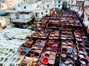 Fez: Language Media and Culture | The American University of Paris