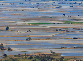 Spain: Environmental Sciences, Energy and Sustainability | The American ...