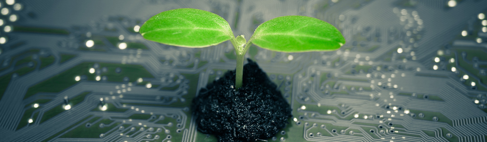 Data Science and the Environment | The American University of Paris