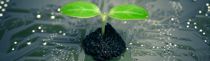 Data Science and the Environment | The American University of Paris