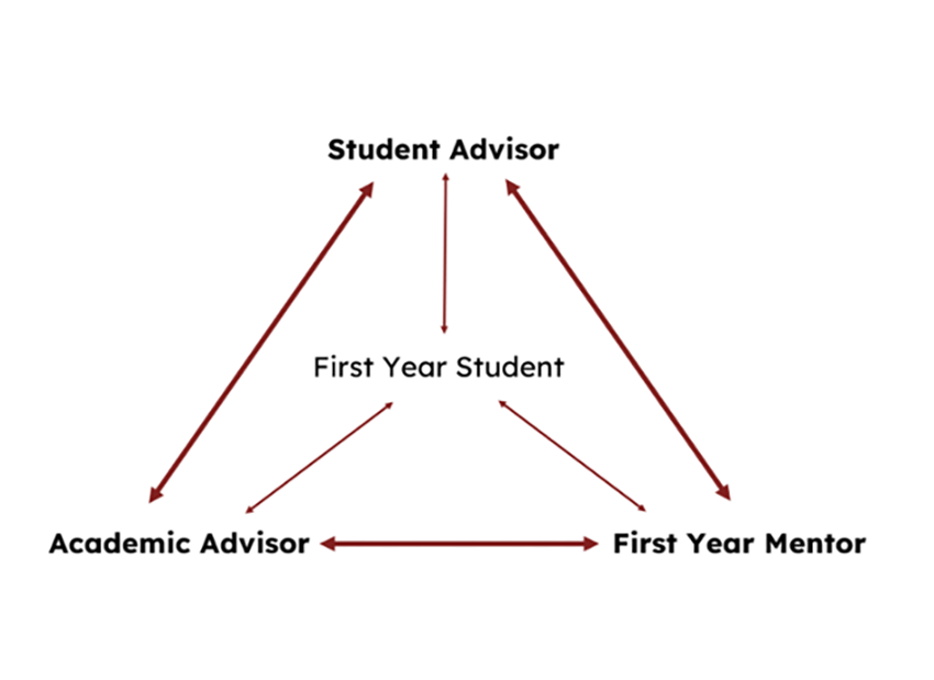 The First-Year Success Program | The American University of Paris