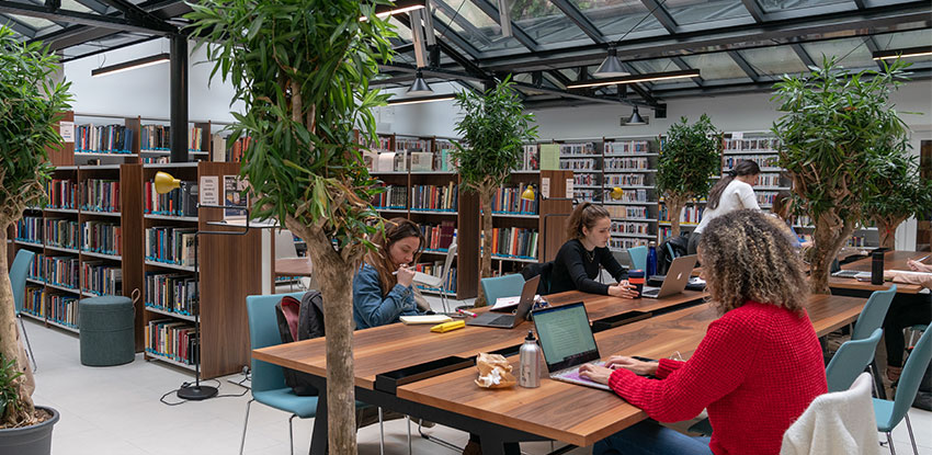 Information for High School Counselors | The American University of Paris