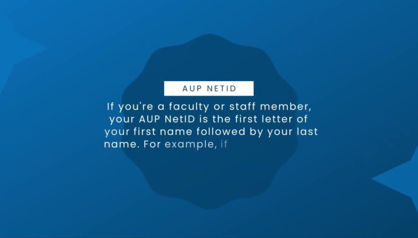 NetID Account | The American University of Paris